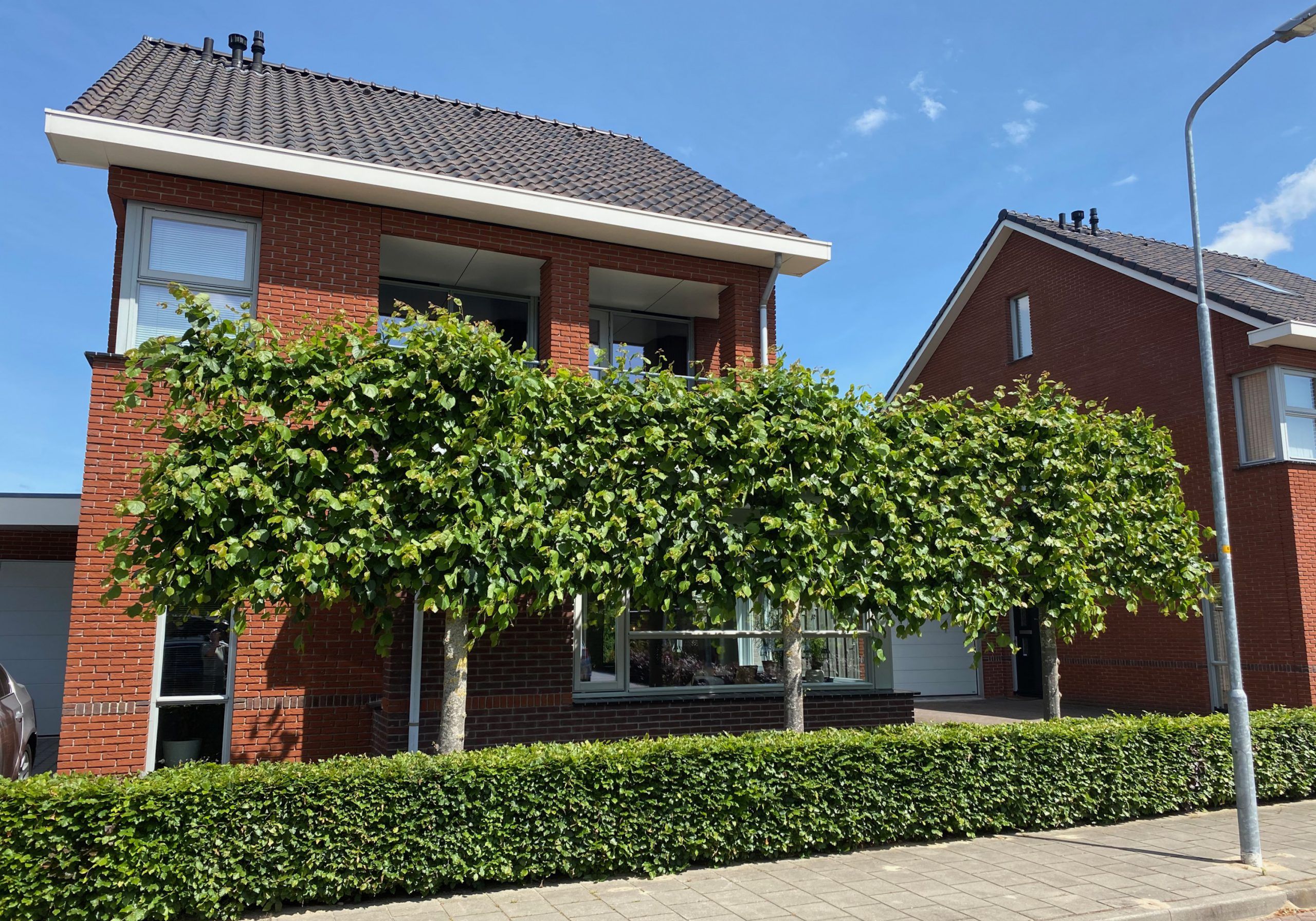 Groene erfafscheiding - Laat u niet verrassen